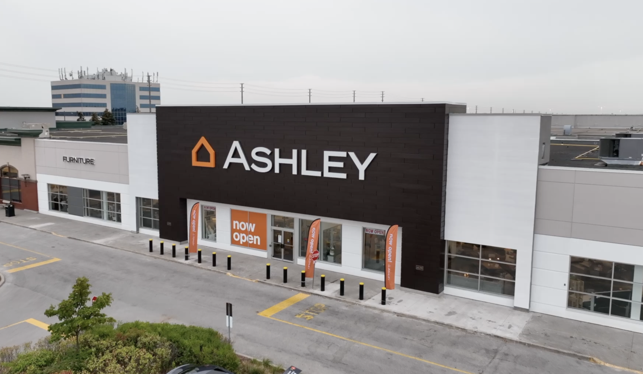 Ashley • TDGCorporate